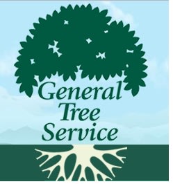 General Tree Service | BBB Business Profile | Better Business Bureau