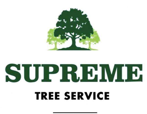 Supreme Tree Service | BBB Business Profile | Better Business Bureau