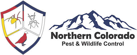 Northern Colorado Pest and Wildlife Control | BBB Business Profile ...