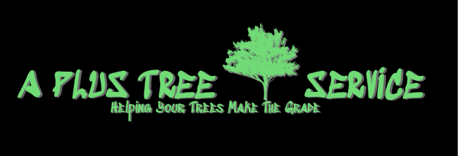 A Plus Tree Service | Better Business Bureau® Profile